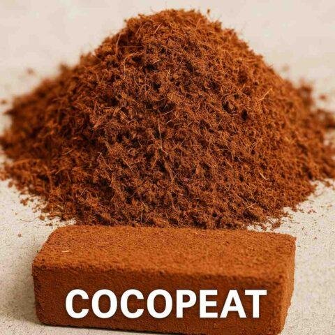 Explore Coconut Husk Products | Uses And Applications | Greglo